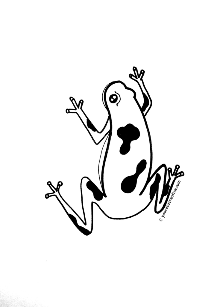 Poison Dart Frog - You're so creative