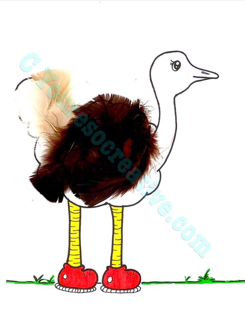 Ostrich - You're so creative
