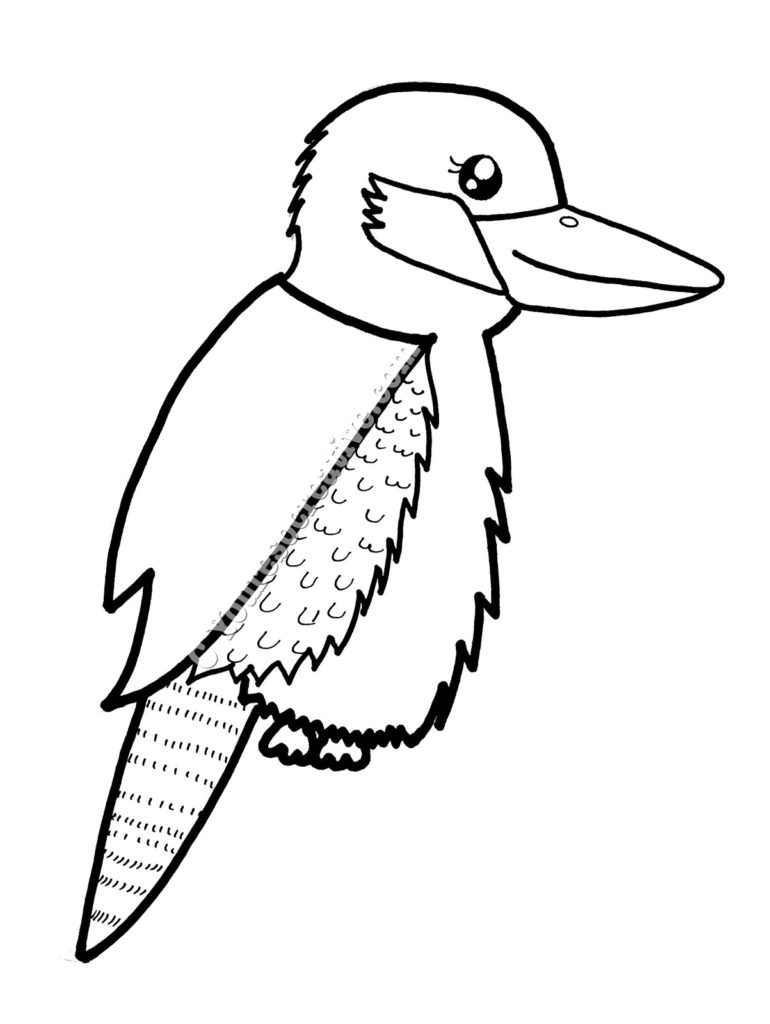 Kookaburra - You're so creative