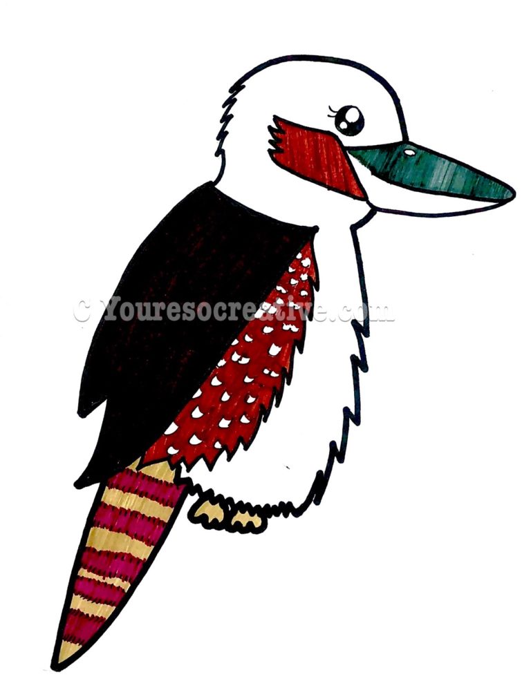 Kookaburra - You're so creative