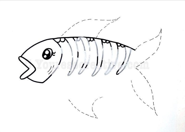 X-ray Fish - You're so creative