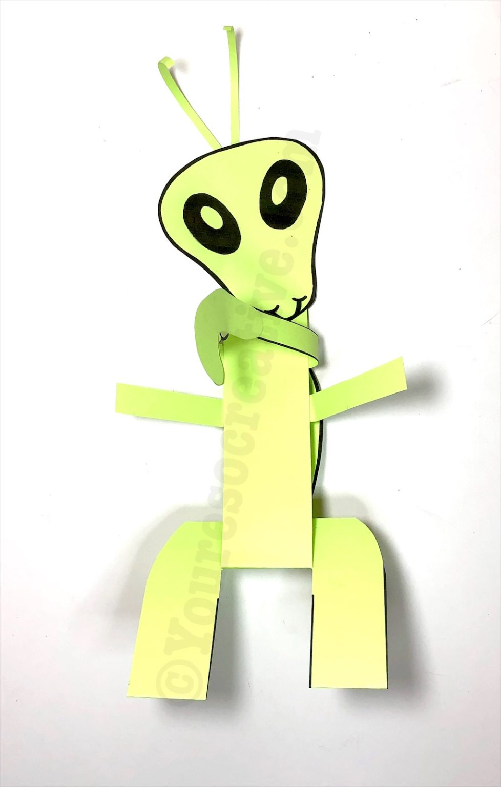 Praying Mantis - You're so creative