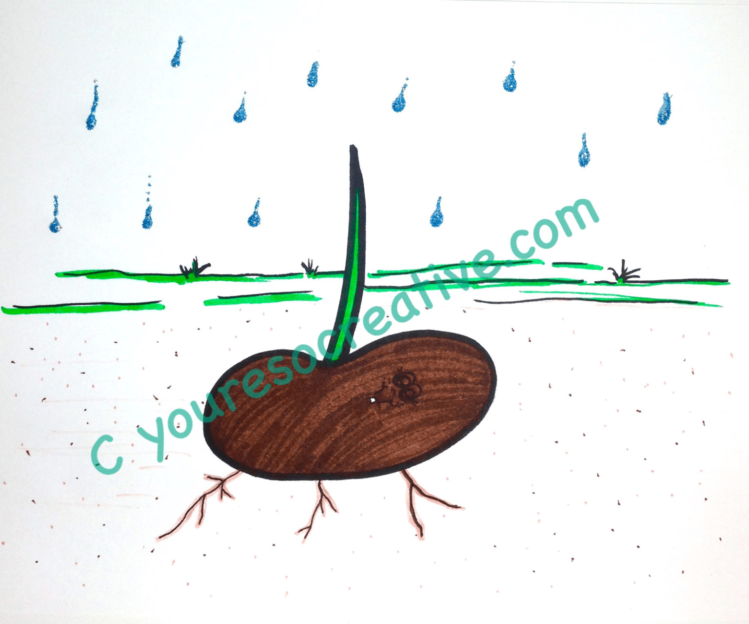Fun ways to Learn How Seeds Grow for Kids - You're so creative